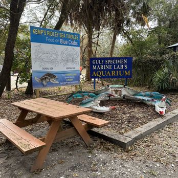 GULF SPECIMEN MARINE LABORATORIES - Updated December 2025 - 65 Photos ...