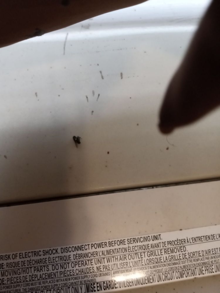 STAR INN BILOXI - Updated July 2025 - 31 Photos & 47 Reviews - 1716 ...