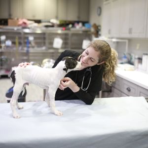 SLATON VETERINARY HOSPITAL - Updated December 2025 - 102 Photos & 191 ...