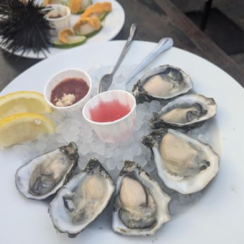 SANTA BARBARA SHELLFISH COMPANY - Updated October 2024 - 6116 Photos ...