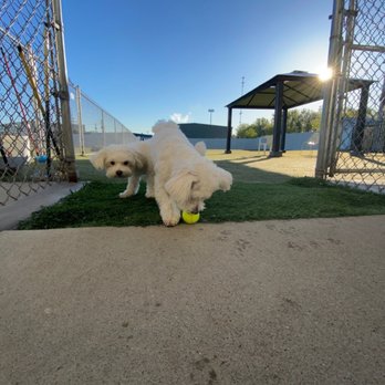 PAWSITIVELY HEAVEN PET RESORT - Updated April 2025 - 61 Photos & 123 ...