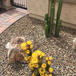 ARIZONA PROSCAPES - 28 Photos - Tucson, Arizona - Landscape Architects ...