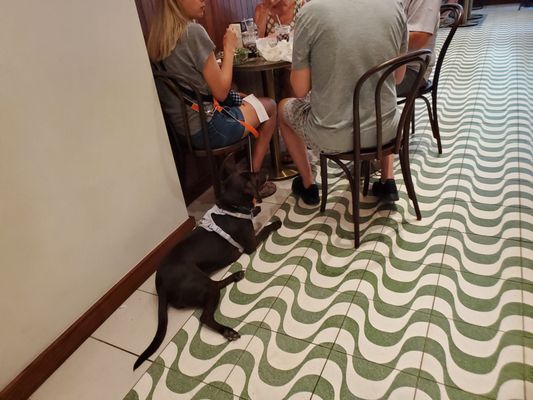 CHEECH’S - Updated July 2025 - 26 Photos - 176 Erie St, Jersey City ...