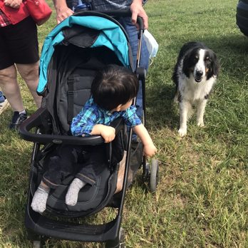 SNEADS FARM - Updated December 2025 - 91 Photos & 41 Reviews - 18294 ...