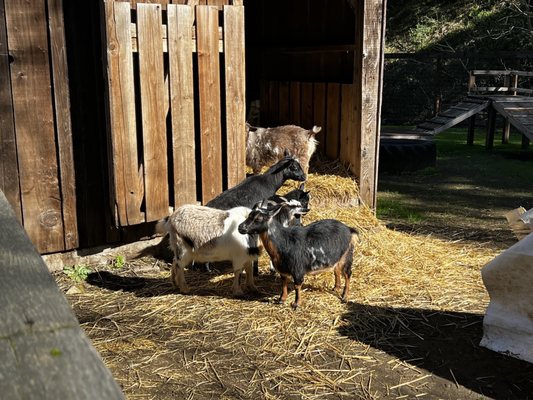 HIDDEN VILLA - Updated October 2025 - 425 Photos & 160 Reviews - 26870 ...