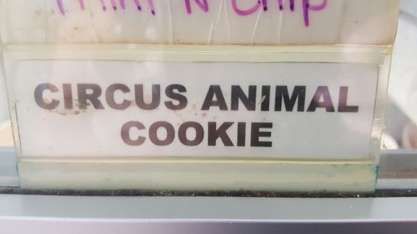 WATER N ICE - Updated December 2025 - 20 Reviews - 8129 N 35th Ave ...