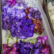 HUNTS POINT FLOWER MARKET - 36 Photos & 24 Reviews - 1152 Randall Ave ...