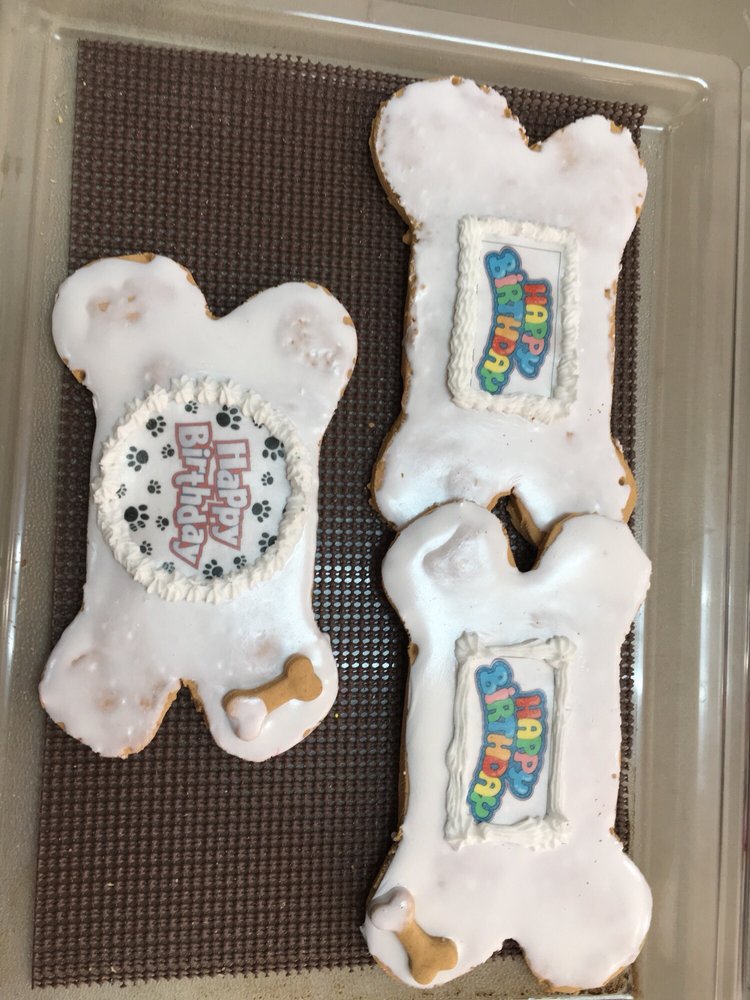 DEWEY DOG NEWS - Updated December 2025 - 41 Photos - Ancestor Square ...