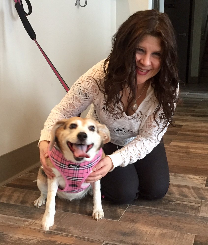 ELMA ANIMAL HOSPITAL - Updated October 2025 - 12 Photos - 3180 Transit ...