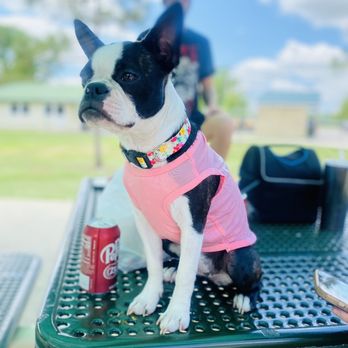 JENKINS PARK - Updated December 2025 - 391 Photos & 13 Reviews - 4334 ...