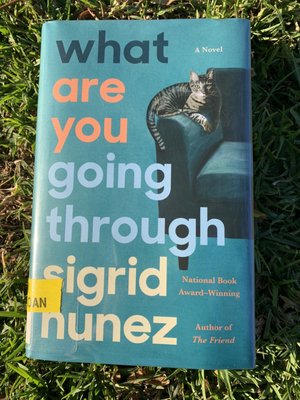 BURBANK PUBLIC LIBRARY - BUENA VISTA BRANCH - Updated November 2024 ...