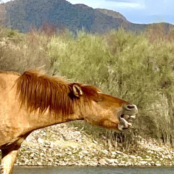 COON BLUFF - Updated December 2025 - 49 Photos & 13 Reviews - Coon ...