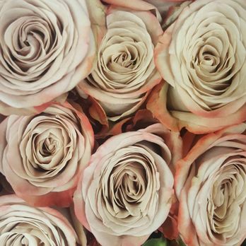 MAYESH WHOLESALE FLORIST - Updated October 2025 - 17 Photos & 11 ...