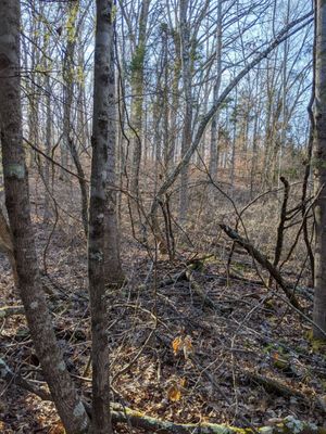 SAUNDERS SPRINGS NATURE PRESERVE - 124 Photos & 23 Reviews - N Wilson ...