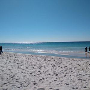 SHELL ISLAND WHITE SAND BEACH - 45 Photos & 28 Reviews - 4607 Thomas Dr ...