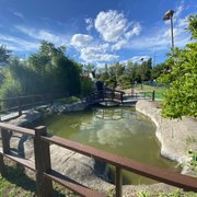 SPRING ROCK GOLF CENTER - 214 Photos & 87 Reviews - 377 Denton Ave, New ...