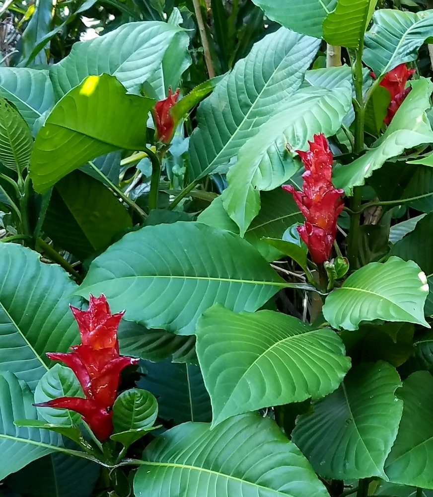 JESSE DURKO’S NURSERY - 92 Photos & 30 Reviews - 5151 SW 70th Ave ...