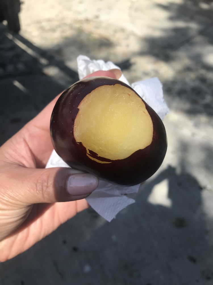 PALA REY RANCH - Updated December 2025 - 21 Photos - 34160 Couser ...