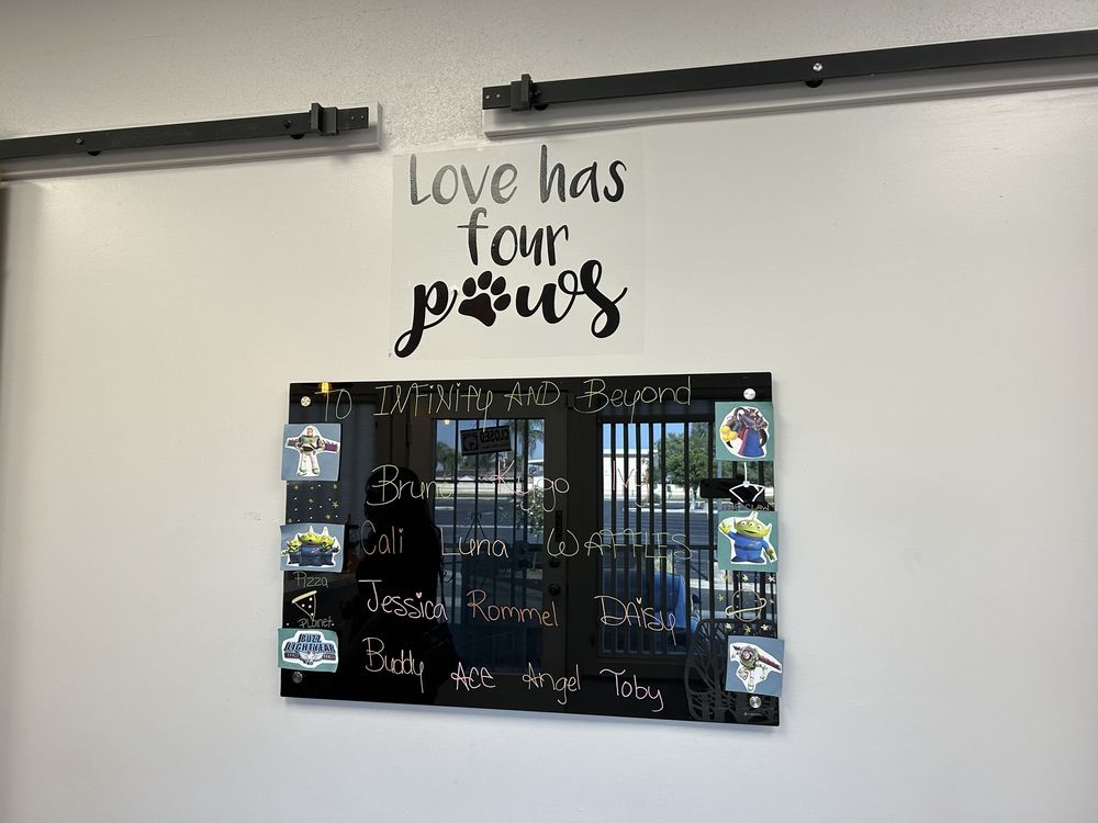 MIRA LOMA ANIMAL HOSPITAL - Updated May 2026 - 35 Photos & 102 Reviews ...