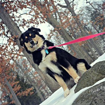 MILHAM PARK - Updated October 2025 - 16 Photos - 400 E Kilgore ...