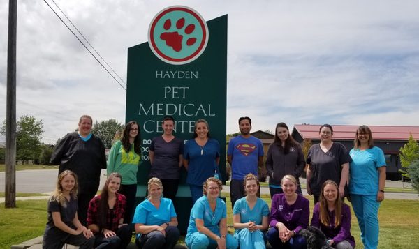 HAYDEN PET MEDICAL CENTER - Request Consultation - 36 Photos & 19 ...