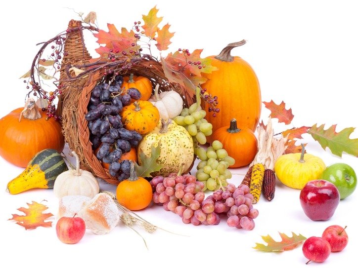 CORNUCOPIA SOLUTIONS | Request Information - Roseville, California ...