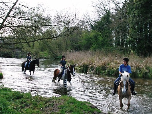 THWAITE COMMON RIDING STABLES - Updated September 2024 - Thwaite Common ...