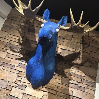 BLUE MOOSE - Updated May 2024 - 128 Photos & 227 Reviews - 10064 ...