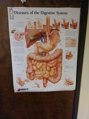 MARK KOGAN, MD - Updated May 2025 - 22 Reviews - 2089 Vale Rd, San ...