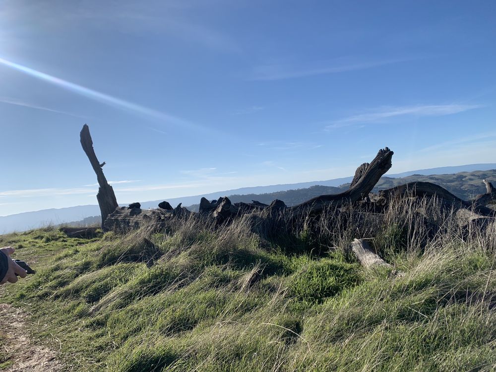 MOUNT HAMILTON - Updated October 2025 - 92 Photos & 25 Reviews - Mount ...