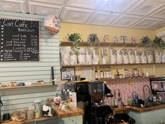 LANCATSTER CAT CAFE - Updated December 2025 - 222 N Duke St, Lancaster ...