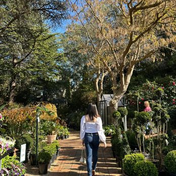 THE TOPIARY CAFE - Updated December 2025 - 40 Photos & 18 Reviews ...