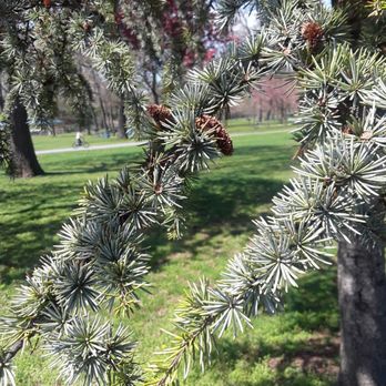 CANTIAGUE PARK - Updated October 2025 - 51 Photos & 31 Reviews - 480 W ...