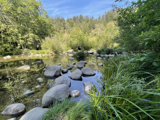 GARDEN OF EDEN - HENRY COWELL REDWOODS STATE PARK - Updated May 2025 ...