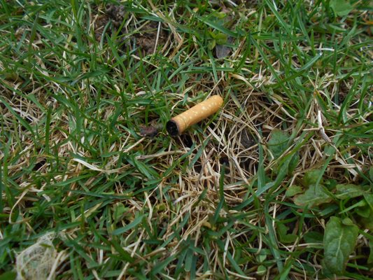 EVERDRY WATERPROOFING - Updated July 2025 - 243 Photos & 114 Reviews ...