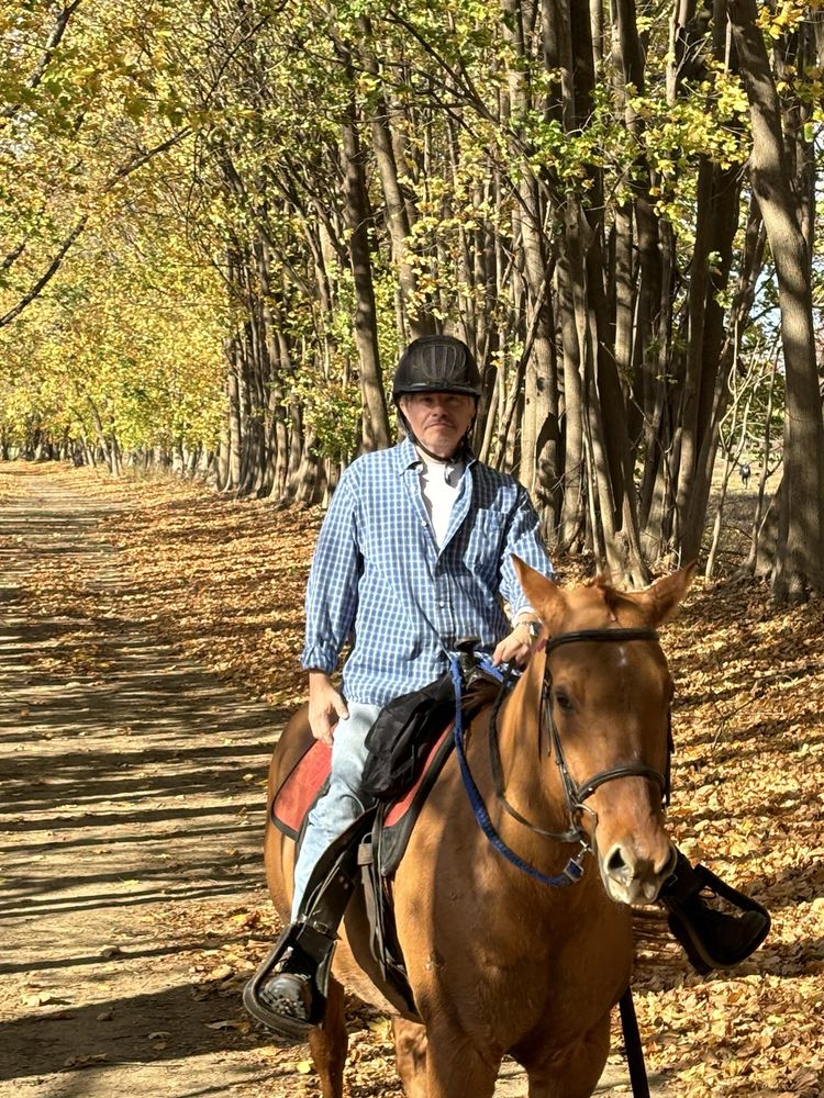 VICTORY STABLES - Updated October 2025 - 78 Photos & 12 Reviews - 121 ...