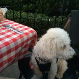 COLLINA’S ITALIAN CAFE - Updated October 2025 - 108 Photos & 333 ...