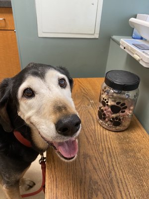 CLOCKTOWER ANIMAL HOSPITAL - Updated October 2025 - 48 Photos & 238 ...