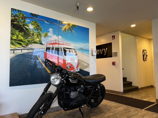 FAM VANS - Updated December 2025 - 400 Photos & 289 Reviews - 10870 ...