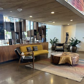 CANOPY BY HILTON TEMPE DOWNTOWN - Updated May 2024 - 318 Photos & 72 ...