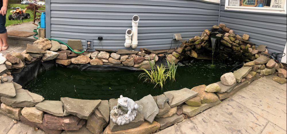 GREEN ELEMENT DESIGN - Updated September 2024 - 11 Photos - Upper Powys ...