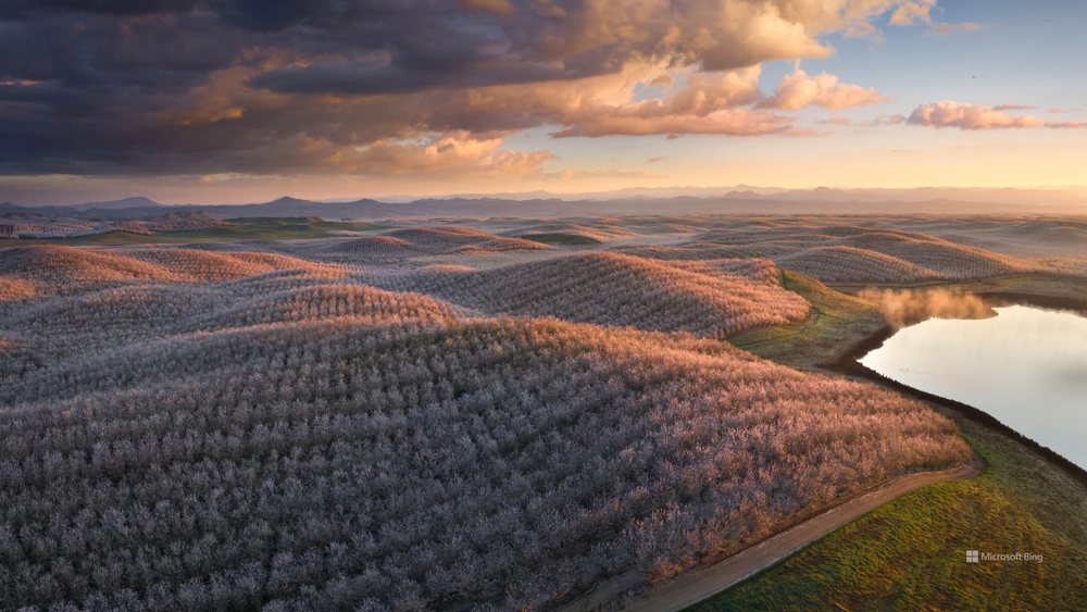 VIP CONCIERGE TRANSPORTATION SERVICES - Updated June 2025 - Las Vegas, Nevada - Limos - Phone ...