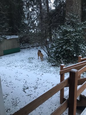 WHATCOM HUMANE SOCIETY - 124 Photos & 35 Reviews - 2172 Division St ...