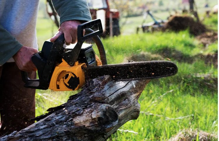 THE MAGIC RAKE TREE AND LANDSCAPING SERVICE - Updated December 2024 ...