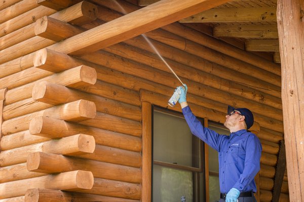 PURCOR PEST SOLUTIONS - Updated October 2025 - 35 Photos & 449 Reviews ...