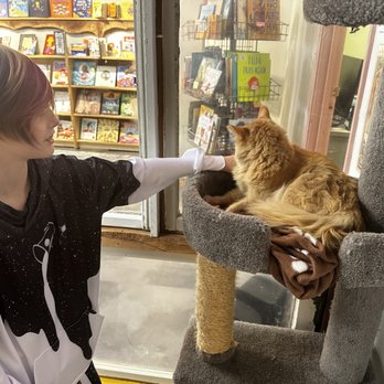 THE RADICAL CAT - Updated May 2025 - 43 Photos & 21 Reviews - 1500 S ...