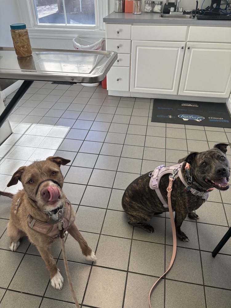 EAST SIDE VETERINARY CLINIC - Updated August 2025 - 14 Photos & 66 ...