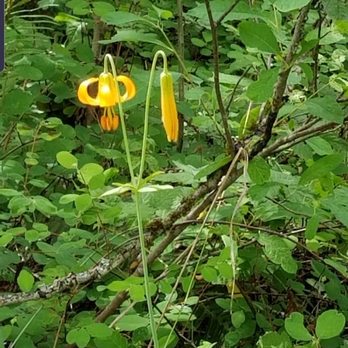 WAPATO HILLS PARK - Updated January 2026 - 12 Photos & 11 Reviews ...