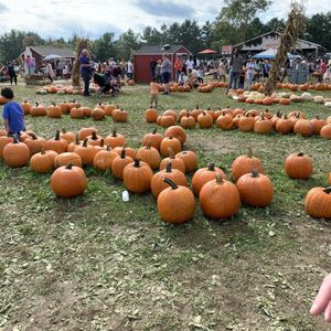 CONKLIN FARM U-PICK - TEMP. CLOSED - 75 Photos & 32 Reviews - 10 ...