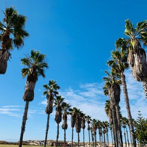 BEACH AT OXNARD SHORES - Updated May 2025 - 61 Photos - 5th St ...